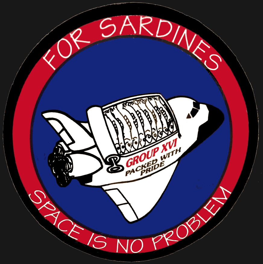 Alternate patch NASA astronaut group 16