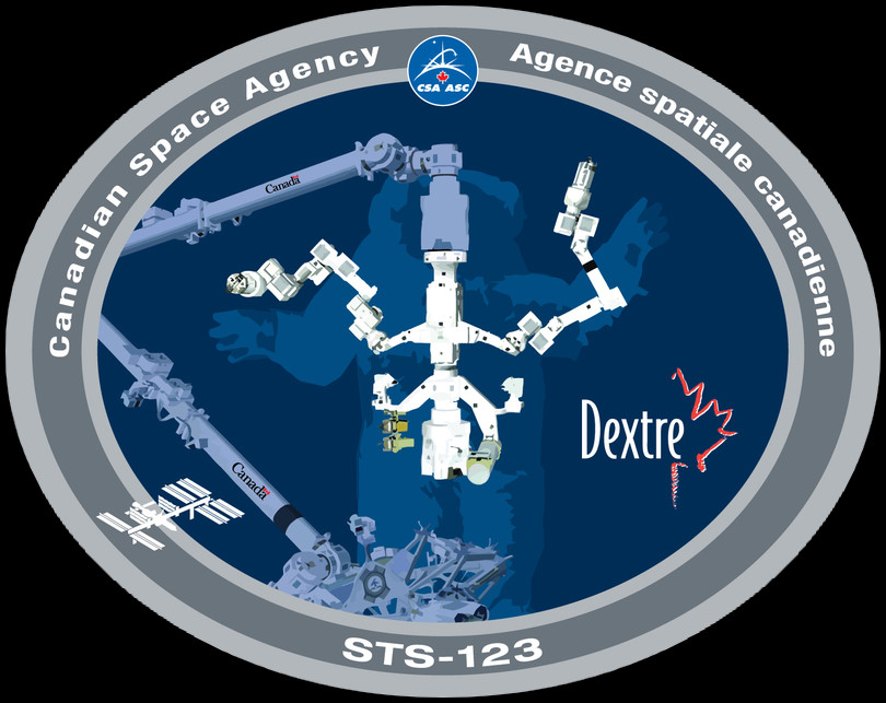 Patch: STS-123 DEXTRE