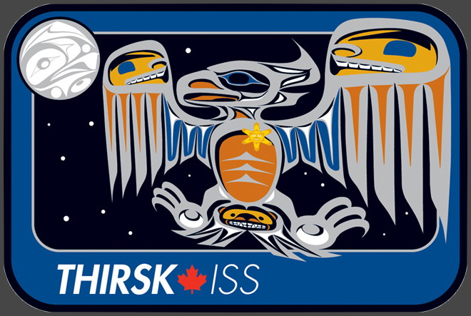 Patch: Robert Thirsk ISS-20 / 21